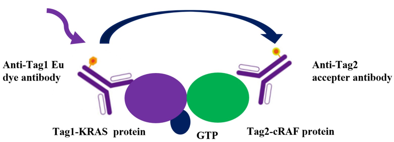 Human KRAS G12D-cRAF Binding Kit_Absin_优宁维(univ)商城