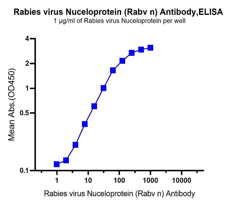 Rabbit anti-Rabies Virus Nuceloprotein Polyclonal Antibody_Absin_优宁维 ...
