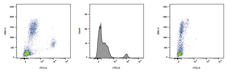FITC Rabbit anti-Human CD14 Antibody-4C5_Absin_优宁维(univ)商城