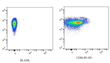 PE Mouse anti-Human CD86 Antibody-BU63_Absin_优宁维(univ)商城