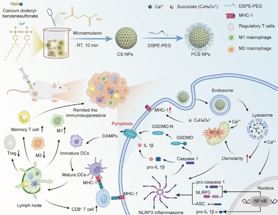 Tool Box for Life Science | Biochemicals-Absin