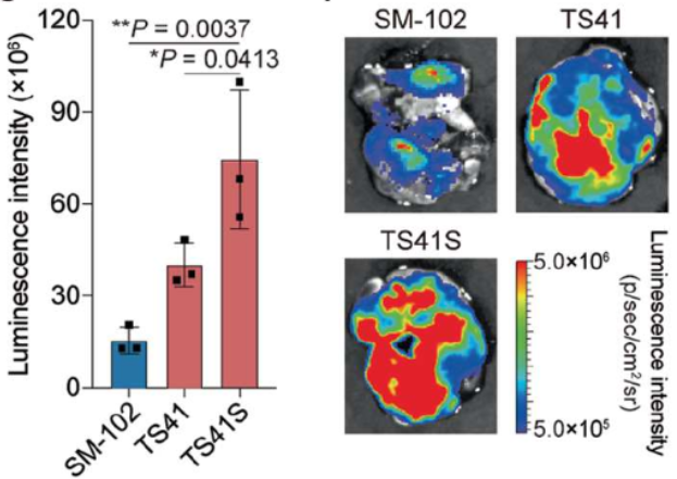 Tool Box for Life Science | Biochemicals-Absin
